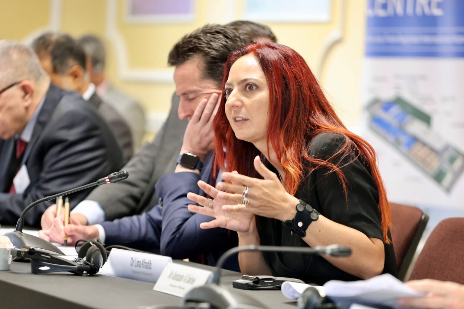 IBBC special conflict briefings - IBBC